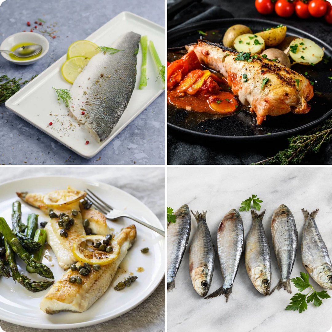Catch of the Day Bundle – Cuisinery Food Market
