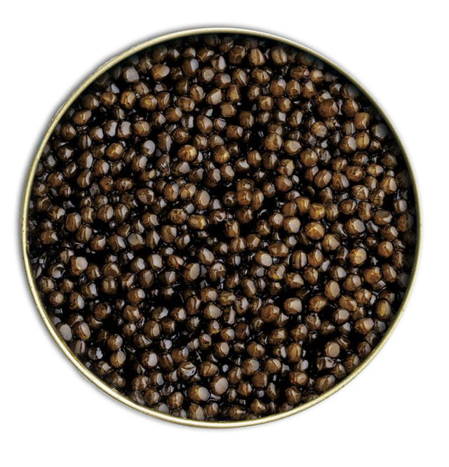 Premium Caviar Royal OSSETRA 30gr – Cuisinery Food Market